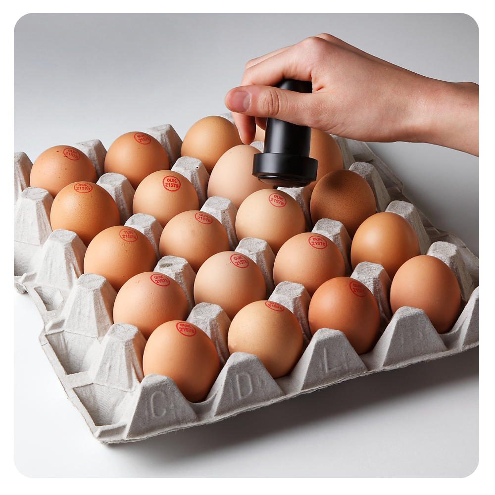 Custom Text and Image Pre-inked Easy Egg Stamp (Ink certificated by FDA ...