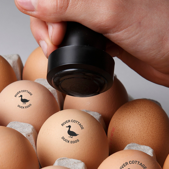 Custom Text and Image Pre-inked Easy Egg Stamp (Ink certificated by FDA ...
